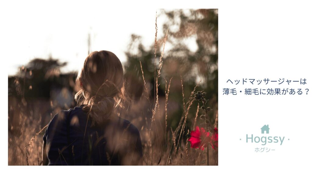 【実体験】頭皮マッサージ器を実際に使い続けた結果!育毛・白髪予防への効果とは? | Hogssy